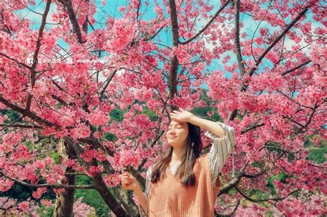 倒數2天！「2021春遊苗栗」省錢玩 再抽免費住宿、體驗券 Ettoday旅遊雲 Ettoday新聞雲