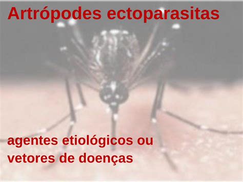 Pdf Agentes Etiológicos Ou Vetores De Doenças Pdfslidenet