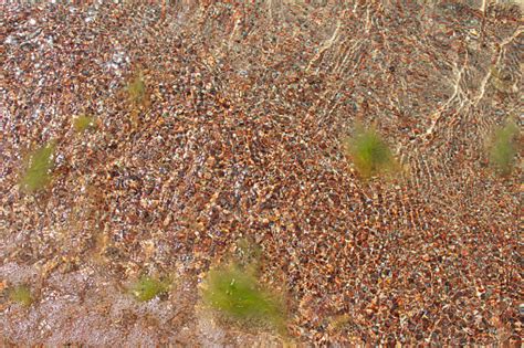여름 휴가 배경과 함께 자갈 잔물결 해초 및 태양 광선과 맑은 물과 위에서 추상적 인 갈색 모래 해안선 자연 0명에 대한 스톡 사진 및 기타 이미지 Istock