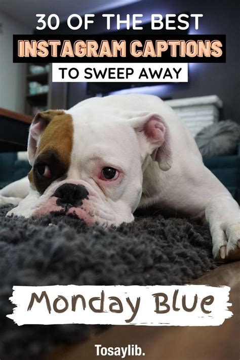 30 Of The Best Instagram Captions To Sweep Away Monday Blue Tosaylib