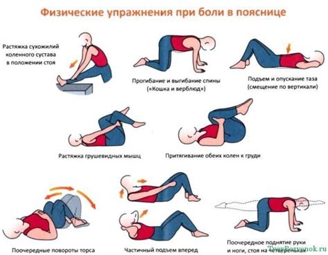 Лечебная физкультура при остеохондрозе шейного грудного и поясничного
