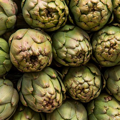Exports Of Spanish Fruits And Vegetables On The Rise In Multiple