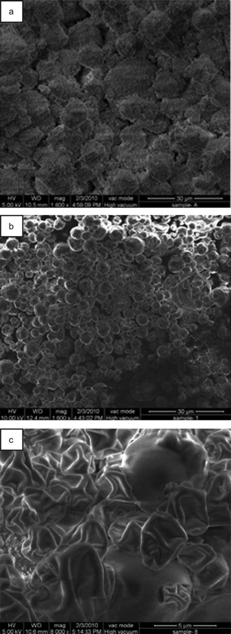 Scanning Electron Microscopic Image Of A Prepared Caco3 Particles Download Scientific Diagram