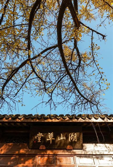 2023癸卯年，双春闰月黑兔年，明年都需要注意什么？ 知乎