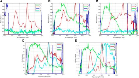 frontiers a blind convolutional deep autoencoder for spectral