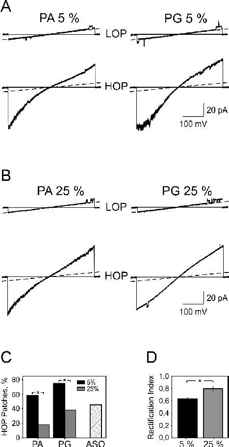 Effects Of Anionic Phospholipids On The Gating Patterns Of