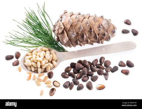 Pine Nut Cone And Pine Nuts On The White Background Organic Food Stock