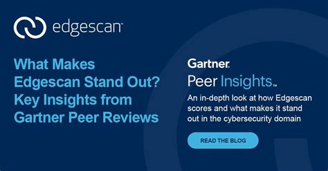 Edgescan On Linkedin What Makes Edgescan Stand Out Key Insights From Gartner Peer Reviews