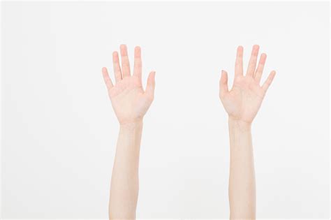 흰색에 고립 된 두 손 투표 손 조롱 공간을 복사합니다 템플릿 빈 5에 대한 스톡 사진 및 기타 이미지 5 가까운 개념