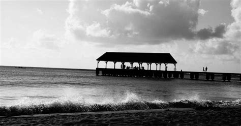 Programming Webdevelopment Devops Codingtutorials Technews Freeresources