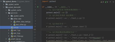 Python Pytest 测试用例的运行方式和参数 昆虫白 博客园