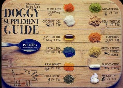 Easy Dog Treat Recipes Healthy Dog Food Recipes Dog Recipes Healthy