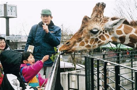 富山市ファミリーパーク 富山県 JAPAN 47 GO