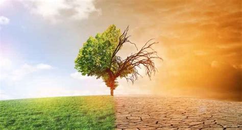 Dívida perigosa Humanidade esgota recursos naturais renováveis do