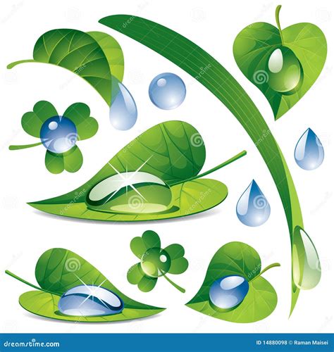 Gotas Del Agua Con Hojas Ilustración Del Vector Ilustración De