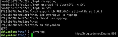 set uid程序漏洞实验 set uid漏洞分析头歌实验答案 csdn博客