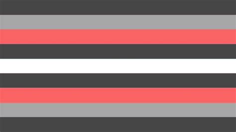 Discover 32 Map And Aam Flags We Dont Support And Flag Ideas In 2025 Pride Flags Map