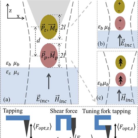 schematic of the tip sample interaction under illumination by tightly