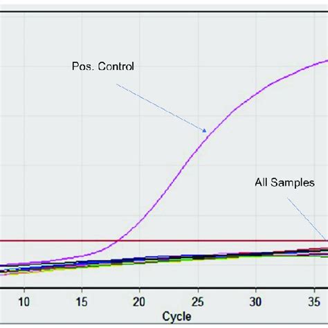 Rt Pcr Graph Showing Results For Target Probe 2019 Ncov N1 Download