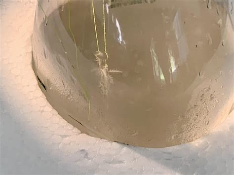 雪の結晶を作りました。｜空想科学研究所