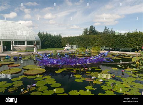 Hardy Pool Artwork Of Glass Artisan Dale Chihuly On Display At The