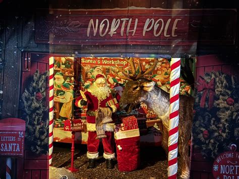 Dinosaur Park Christmas Lights Walk 161 Thorburn Rd St Johns St