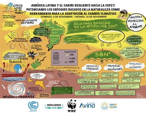 Visualising Resilience Findings And Priorities From The Latin America