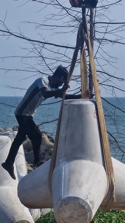 നാല് കാലുള്ള Tetrapod Youtube