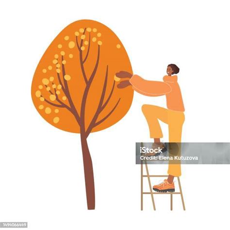 Ilustración De Mujer Cosechadora Frutas De Otoño Mujer Parada En La Escalera Junto Al Árbol Y