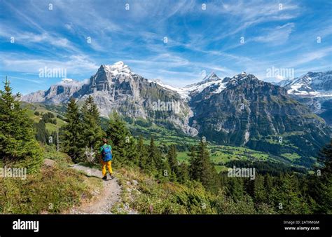 Hikers On The Hiking Trail To Bachalpsee Behind Snow Covered