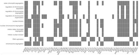 R Heatplot Enrichgo Fold Change Display Order Of Genes Stack Overflow