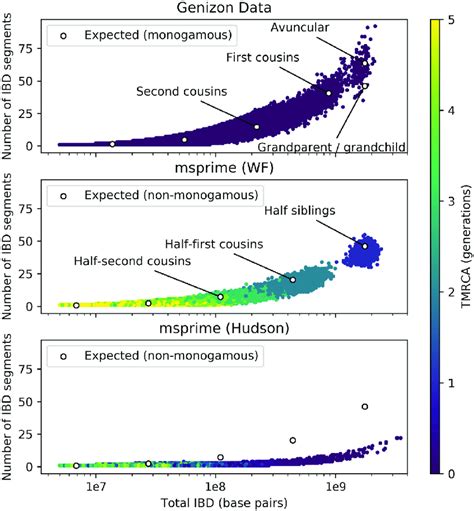 Number Of Ibd Segments Between Pairs Of Individuals Versus Total Length