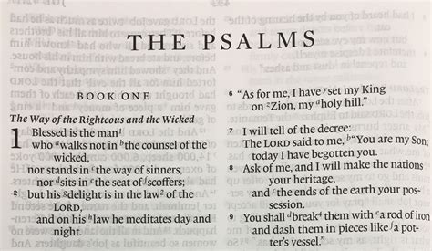 Psalms Chapter 91 Book Summary Review BrendynLeith