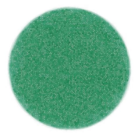 Random Network Topology A Random Network Visualization B Nodes Download Scientific