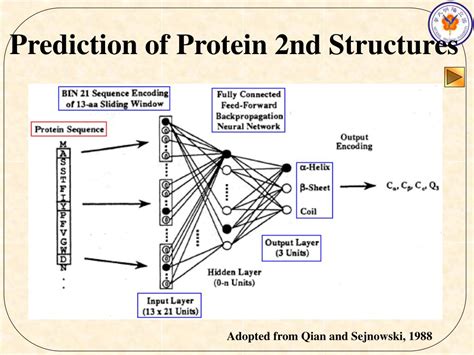 Ppt Neural Networks In Bioinformatics Powerpoint Presentation Free