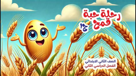 درس رحلة حبة قمح ج1 قراءة نصية تعلم القراءة مع الشطورة سارة