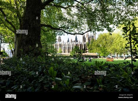 View Of The Palace Of Westminster Houses Of Parliament From Victoria