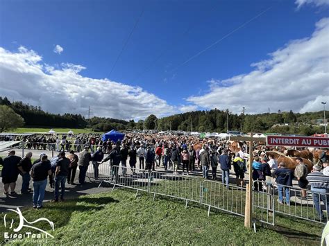 2022 19 Concours National Du Cheval Comtois ESPRITRAIT