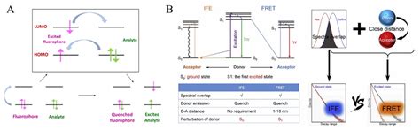 An Overview Of The Design Of Metal Organic Frameworks Based Fluorescent Chemosensors And Biosensors