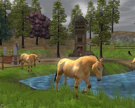 Топ 5 🐴 лучшие игры про лошадей на компьютер (пк)