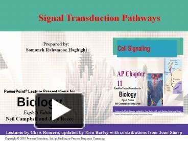 Signal Transduction Pathways Presentation Free To Download