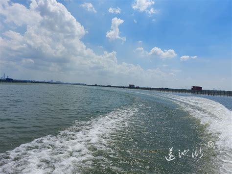 【阳澄湖畔】阳澄湖大闸蟹养殖基地的风景阳澄湖大闸蟹官网