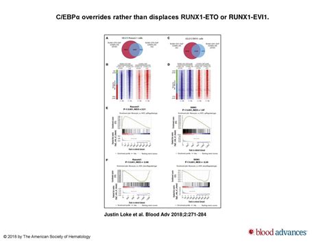 C Ebp Overrides Epigenetic Reprogramming By Oncogenic Transcription