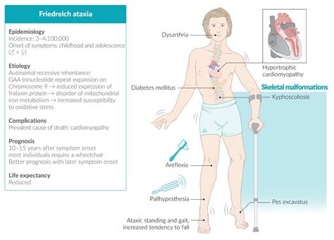 Friedreichs Ataxia