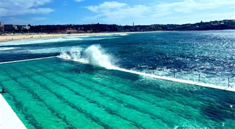 Nuno Maduro On Linkedin Good Morning Sidney I Just Went For A Swim