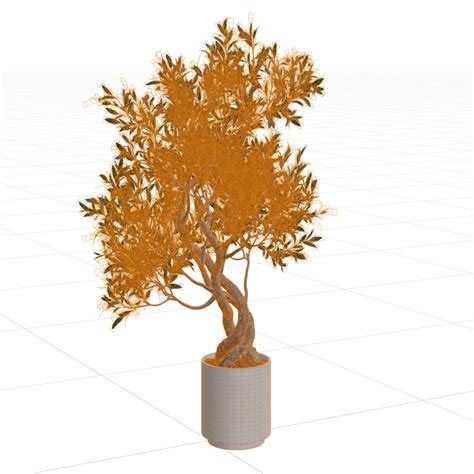 Indoor Floor Olive Tree 03 • Imeshh 3d Model For Blender 4 0