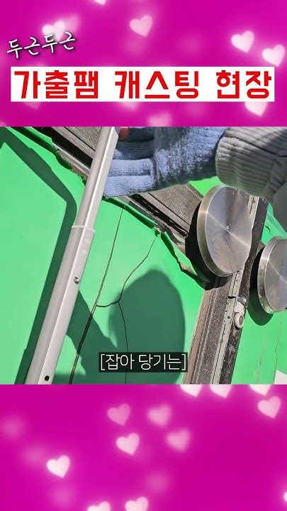 새로운 가족이 생겼어요 Youtube