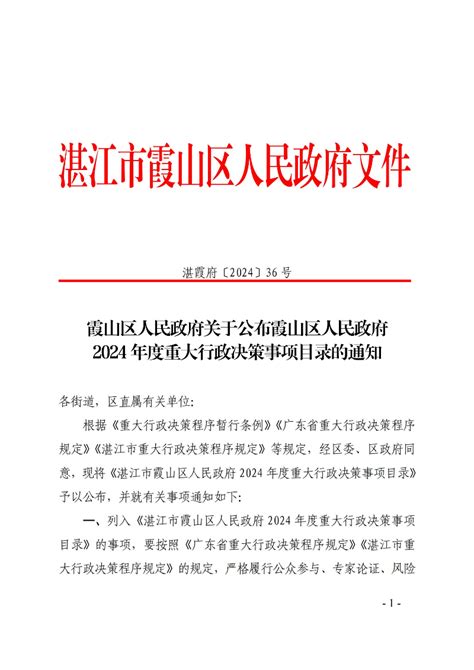 霞山区人民政府