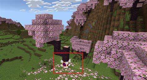 Minecraft Bedrock Editor Mode Everything You Need To Know
