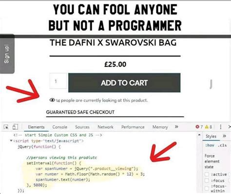 you can not fool a programmer r programminghumor